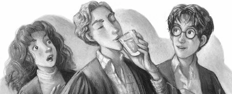 Chapter guide | Harry Potter Books Wiki | Fandom