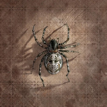 Spider | Harry Potter Books Wiki | Fandom