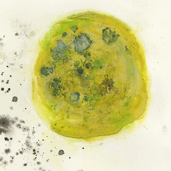 Bundimun | Harry Potter Books Wiki | Fandom