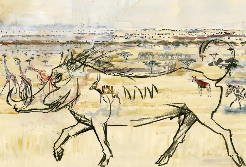 Tebo | Harry Potter Books Wiki | Fandom