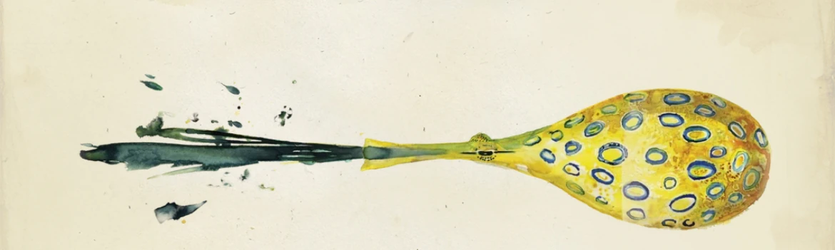 Lobalug | Harry Potter Books Wiki | Fandom