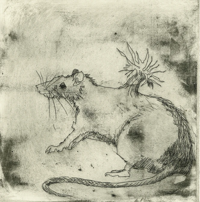 Murtlap Harry Potter