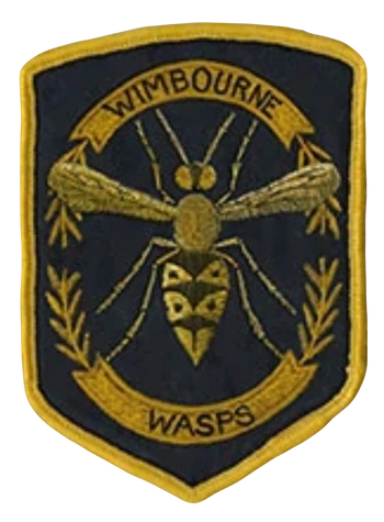 Wimbourne Wasps | Harry Potter Books Wiki | Fandom