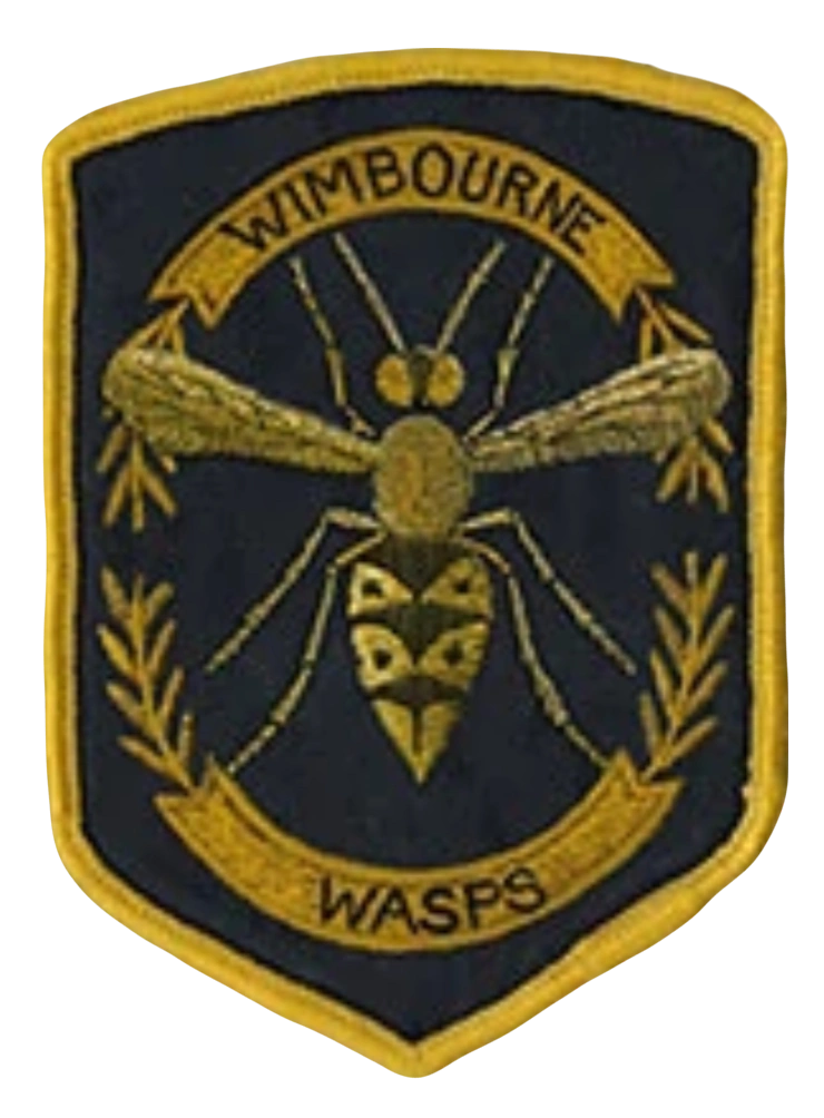 Wimbourne Wasps | Harry Potter Books Wiki | Fandom