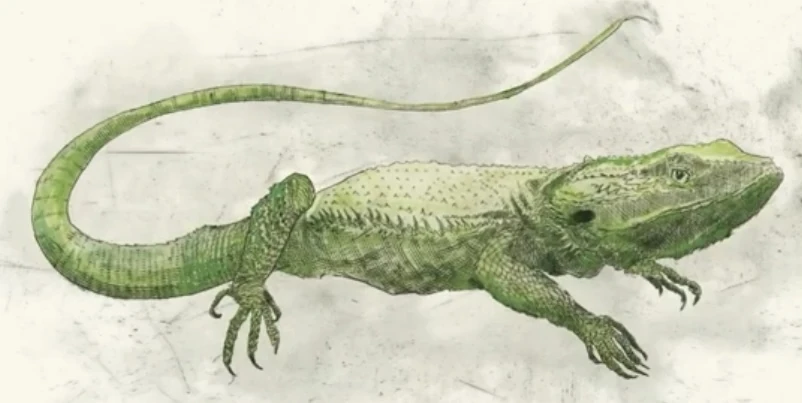 Moke | Harry Potter Books Wiki | Fandom