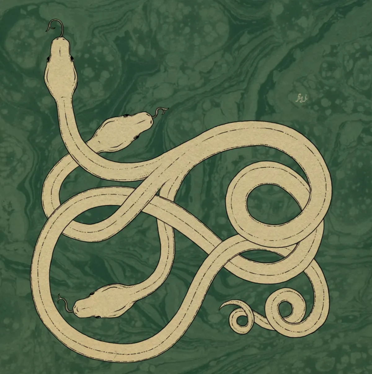 Runespoor | Harry Potter Books Wiki | Fandom