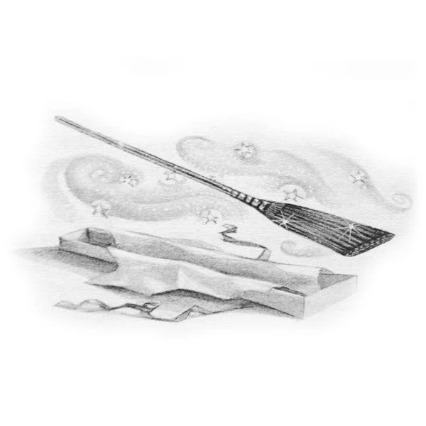 The Firebolt (chapter) | Harry Potter Books Wiki | Fandom