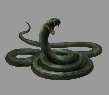 Snake | Harry Potter Books Wiki | Fandom