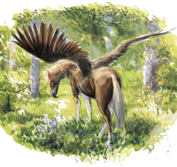 Hippogriff | Harry Potter Books Wiki | Fandom