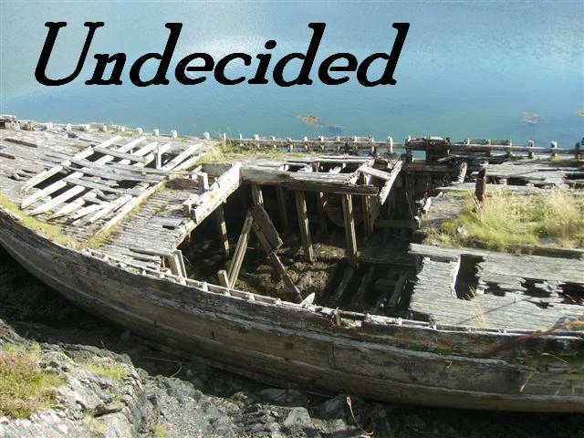 Undecided | Harry Potter Fanfic Wiki | Fandom