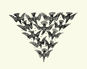 13 Crows Curse (Tailoris) | Harry Potter Fanon Wiki | Fandom