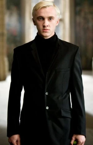 Draco Malfoy (Yuaka) | Harry Potter Fanon Wiki | Fandom