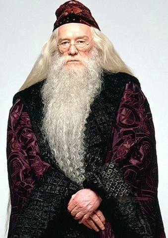 Albus Dumbledore (Lord Dumbledore) | Harry Potter Fanon Wiki | Fandom