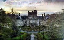 Colin Jeffries (S5127051) | Harry Potter Fanon Wiki | Fandom