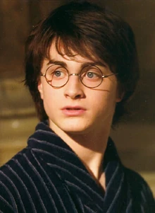 Harry Potter (DIS) | Harry Potter Fanon Wiki | Fandom