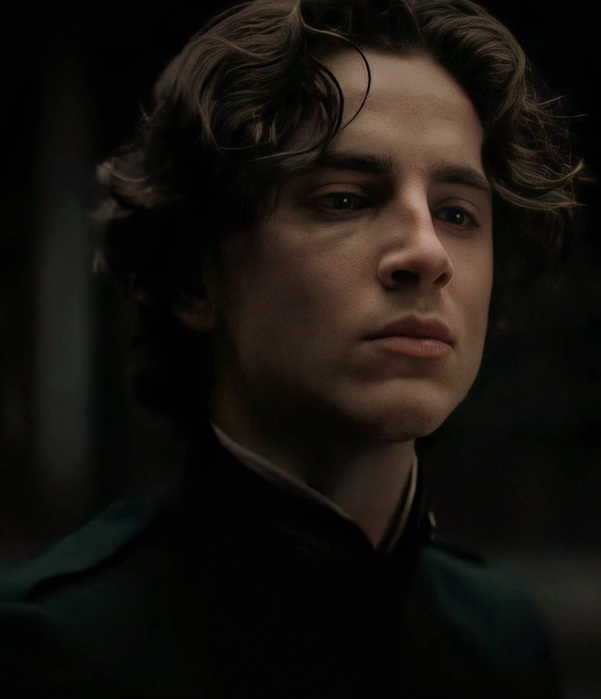 Regulus Black IV (A Pureblood Legacy) | Harry Potter Fanon Wiki | Fandom