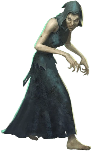 Hag | Harry Potter Fanon Wiki | Fandom