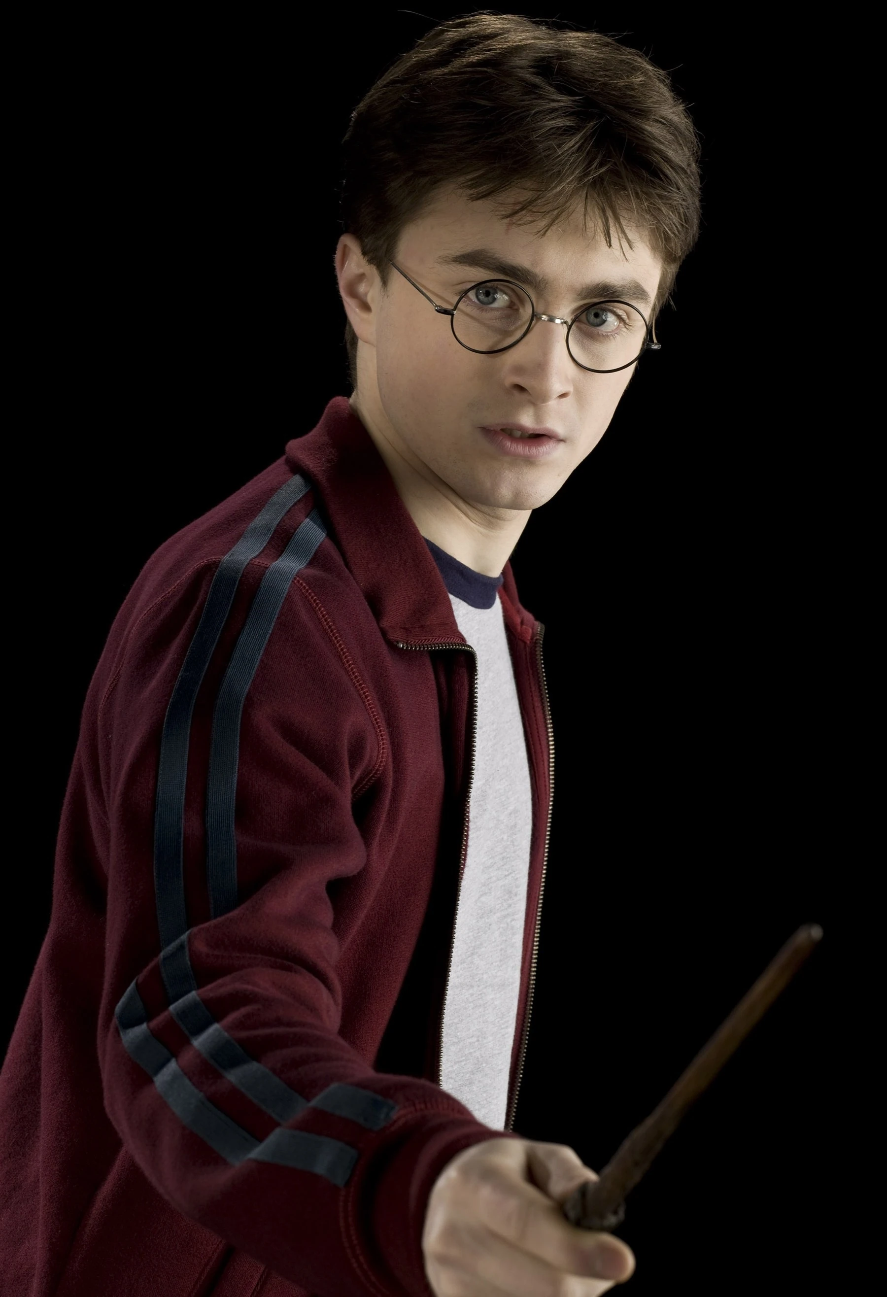 Harry Potter (Prince's World) | Harry Potter Fanon Wiki | Fandom