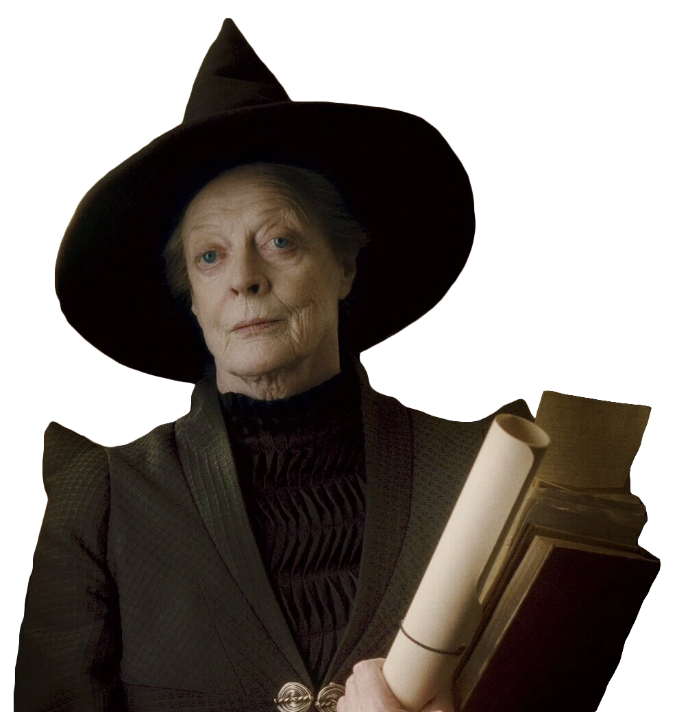 Minerve Mcgonagall Harry Potter Professor Minerva McGonagall Doll