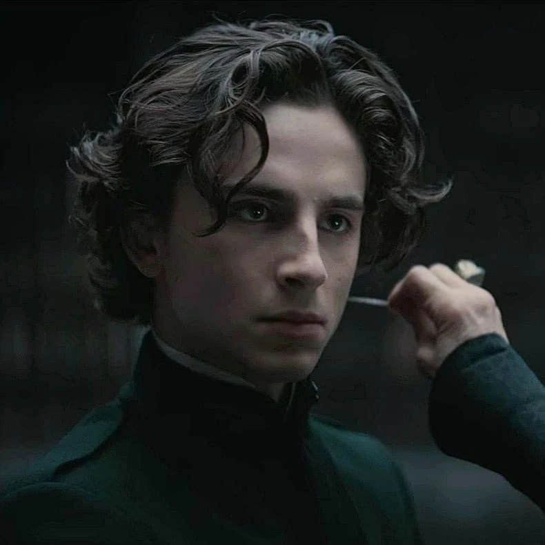 Regulus Black | Harrypotterhm-fanon Wiki | Fandom