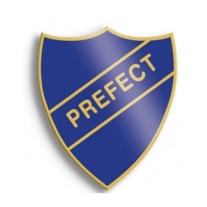 Prefect | Harry Potter Roleplay Wiki | Fandom