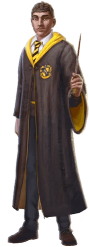 Hufflepuff Student | Harry Potter: Wizards Unite Wiki | Fandom