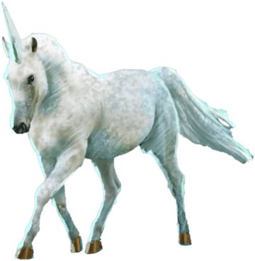 how to draw a unicorn harry potter