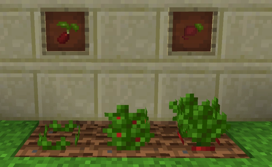 Radish | HarvestCraft Wiki | Fandom