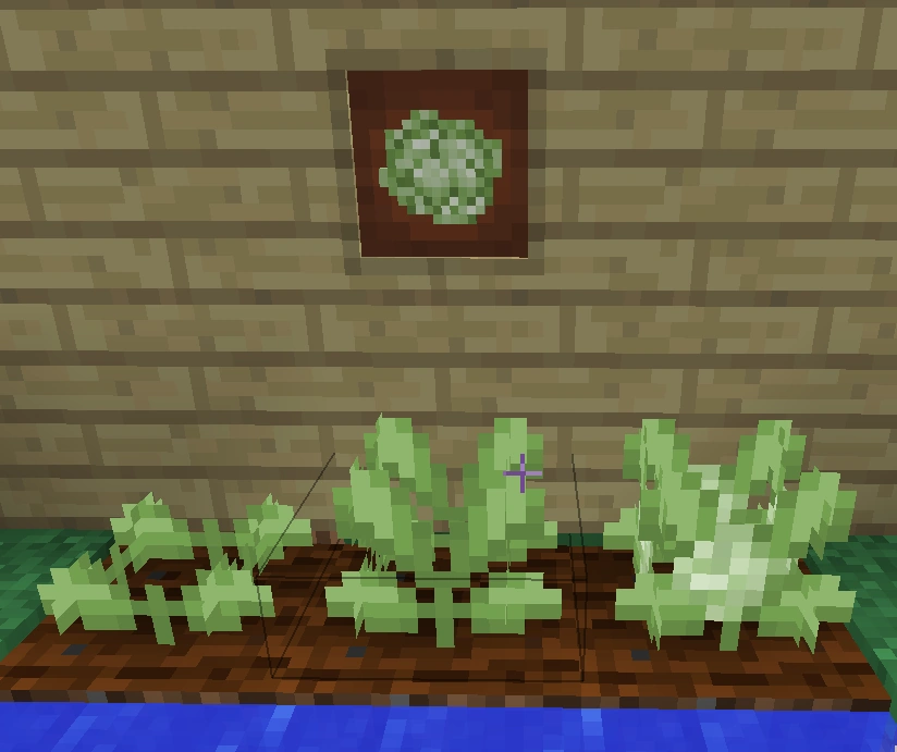 Cabbage | HarvestCraft Wiki | Fandom