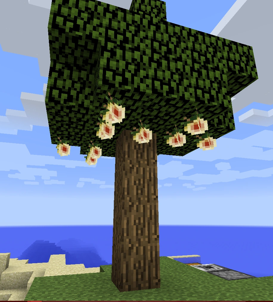 Nutmeg | HarvestCraft Wiki | Fandom