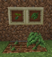 Spice Leaf | HarvestCraft Wiki | Fandom