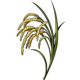 Eden Rice | Harvestella Wiki | Fandom