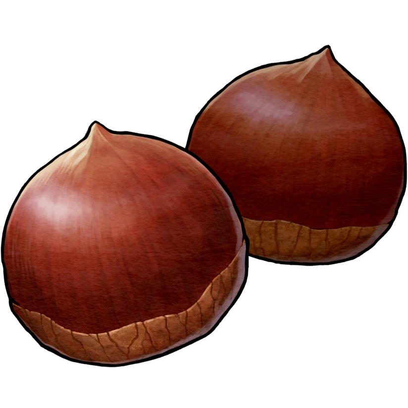 Princess Chestnut | Harvestella Wiki | Fandom