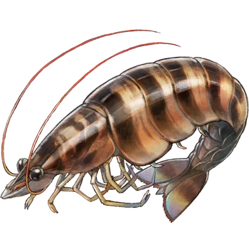 Roly Poly Prawn | Harvestella Wiki | Fandom