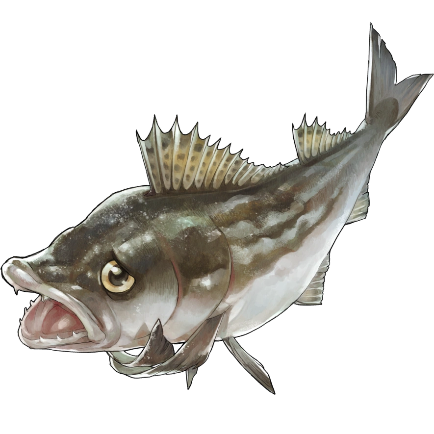 Chilly Pollock | Harvestella Wiki | Fandom