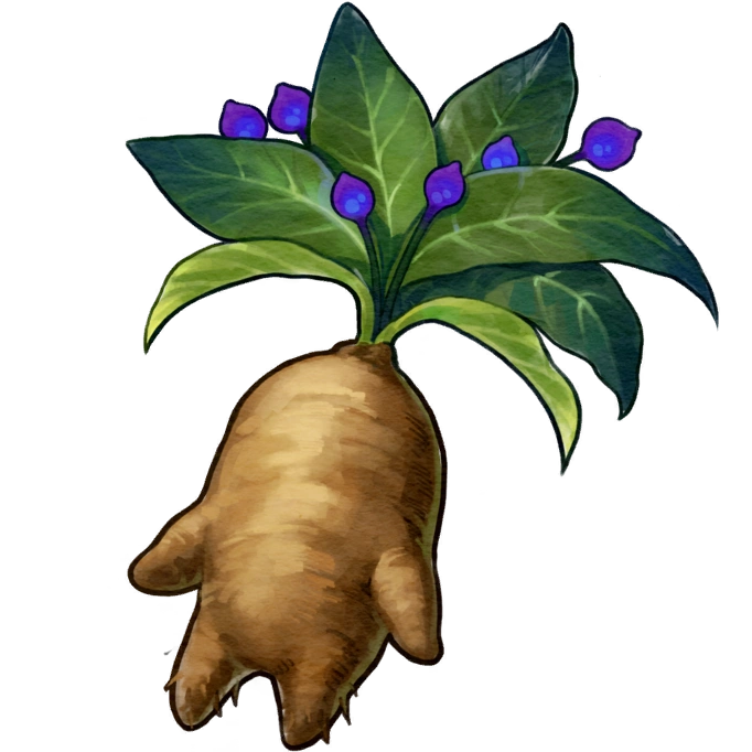 Wise Man's Root | Harvestella Wiki | Fandom