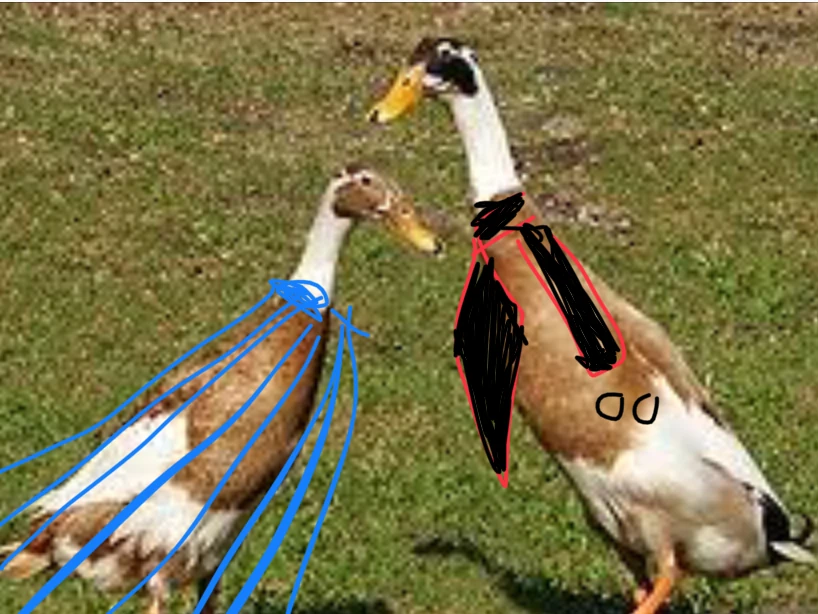 Elijah Saul | Harvester Duck- Xenomorph - Predator Wiki | Fandom