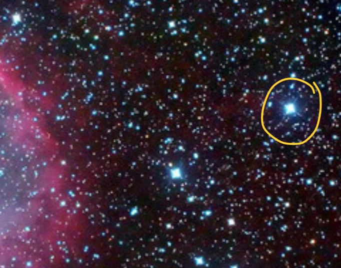 Zadhara | Harvester Duck- Xenomorph - Predator Wiki | Fandom