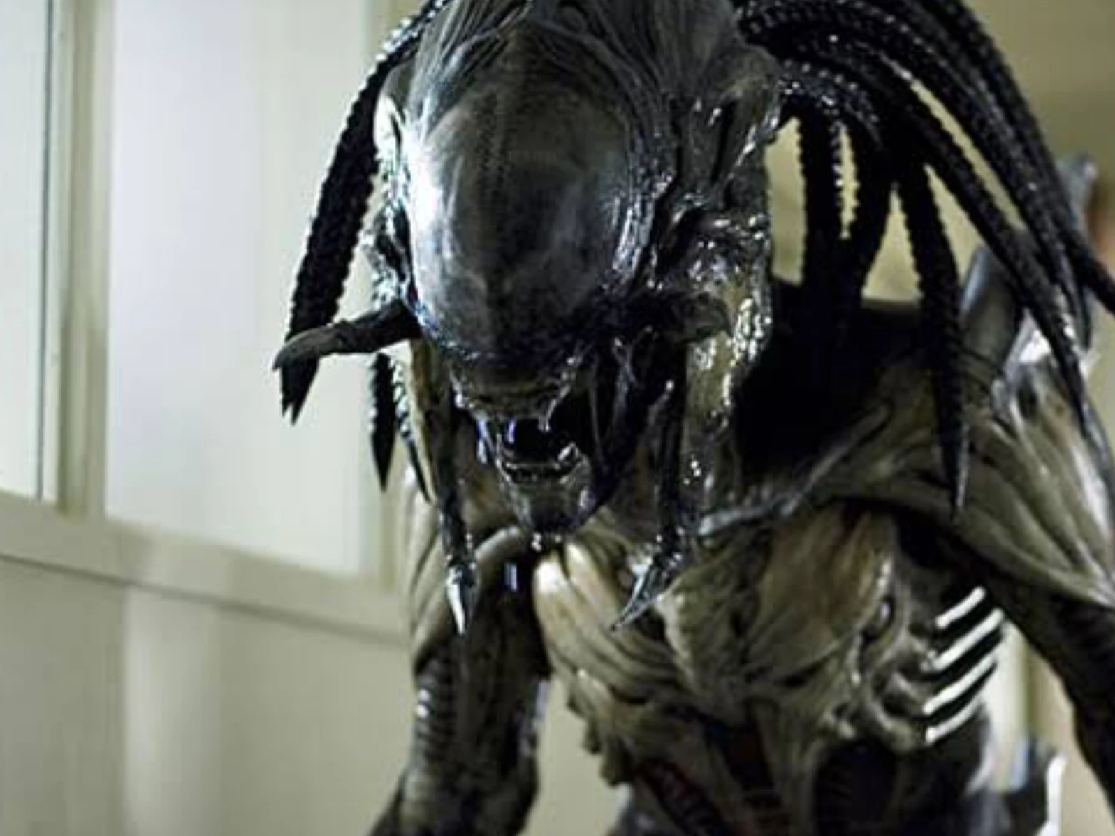 Predalien Queen Vs Alien Queen