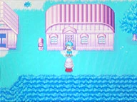 Popuri (HMDS) | Wiki Harvest Moon | Fandom