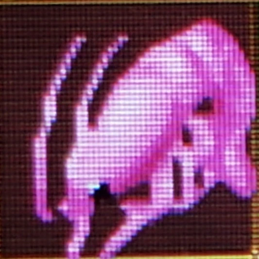 Category:Fish (RF3) | Rune Factory Wiki | Fandom