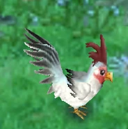 Cluckadoodle | Rune Factory Wiki | Fandom