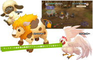 Cluckadoodle | Rune Factory Wiki | Fandom