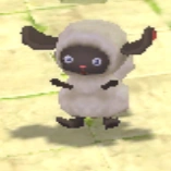 Wooly | Rune Factory Wiki | Fandom