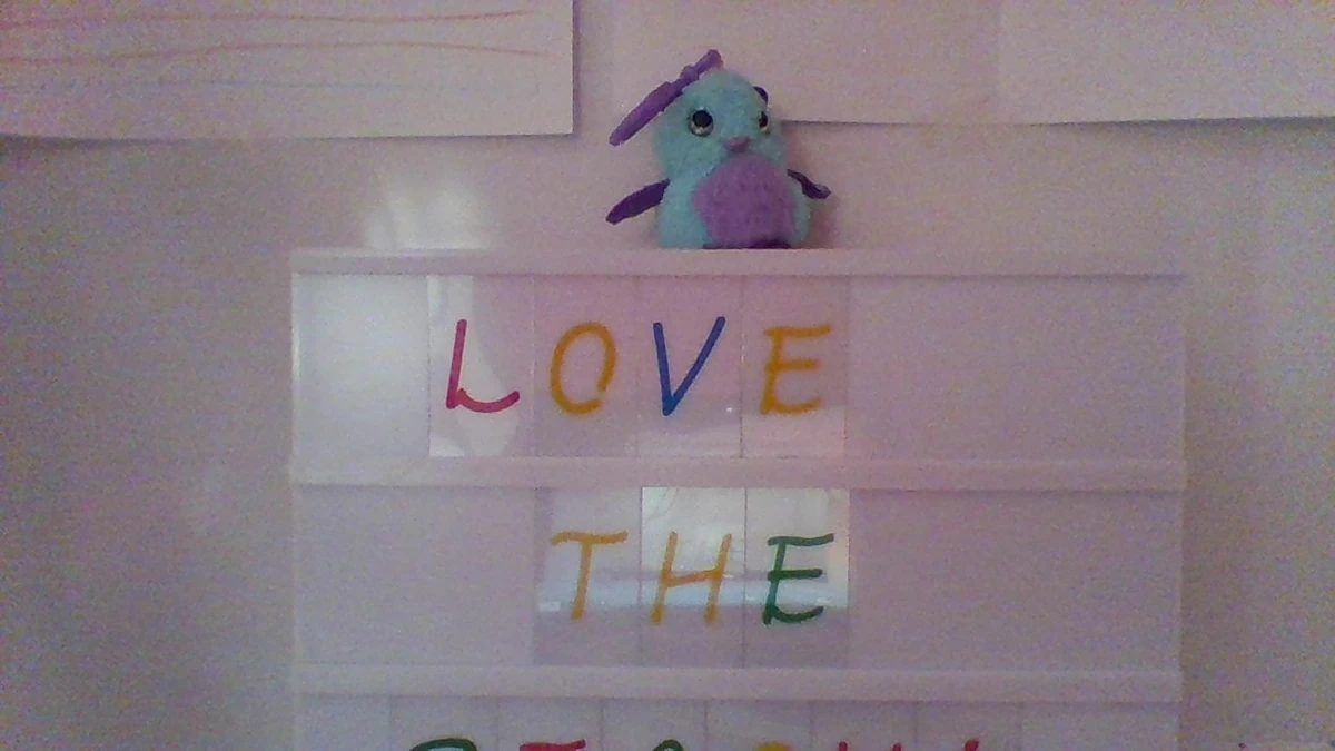 Burtle (species) | Hatchimals Wiki | Fandom