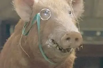 Animal Farm Movie 1999