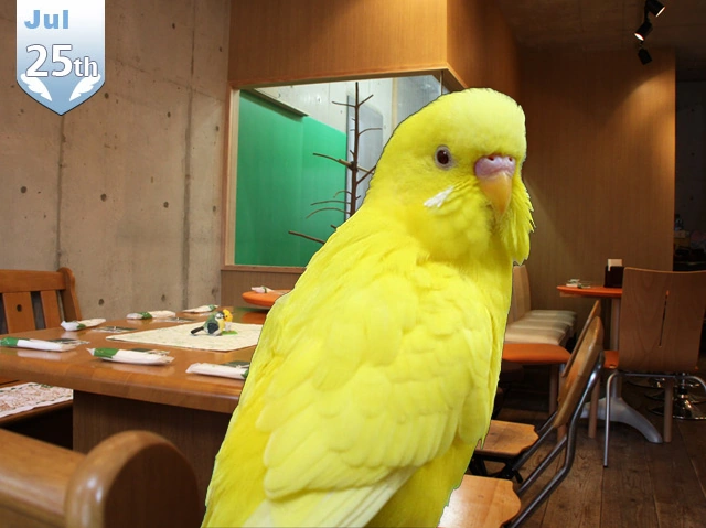 Rabu | Hatoful Boyfriend Wiki | Fandom