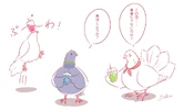 Okosan/Gallery | Hatoful Boyfriend Wiki | Fandom