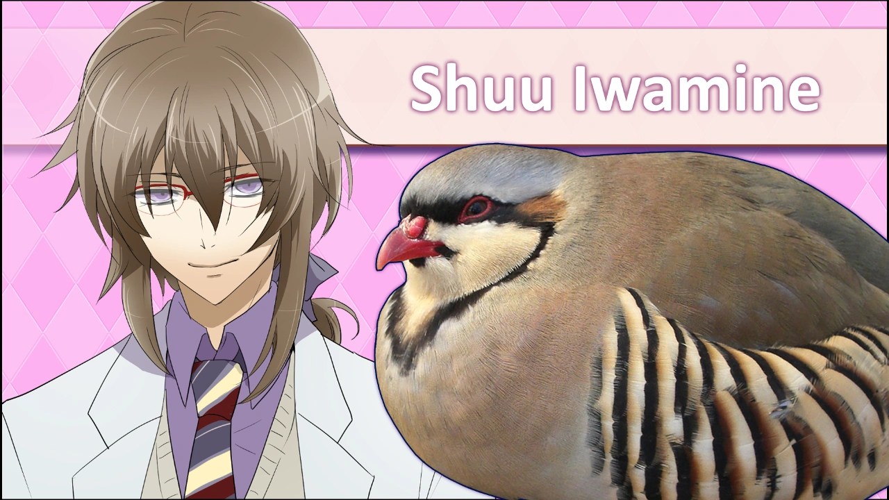 Shuu Iwamine | Hatoful Boyfriend Wiki | Fandom