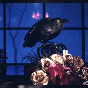 Raven | Haunted Mansion Wiki | Fandom